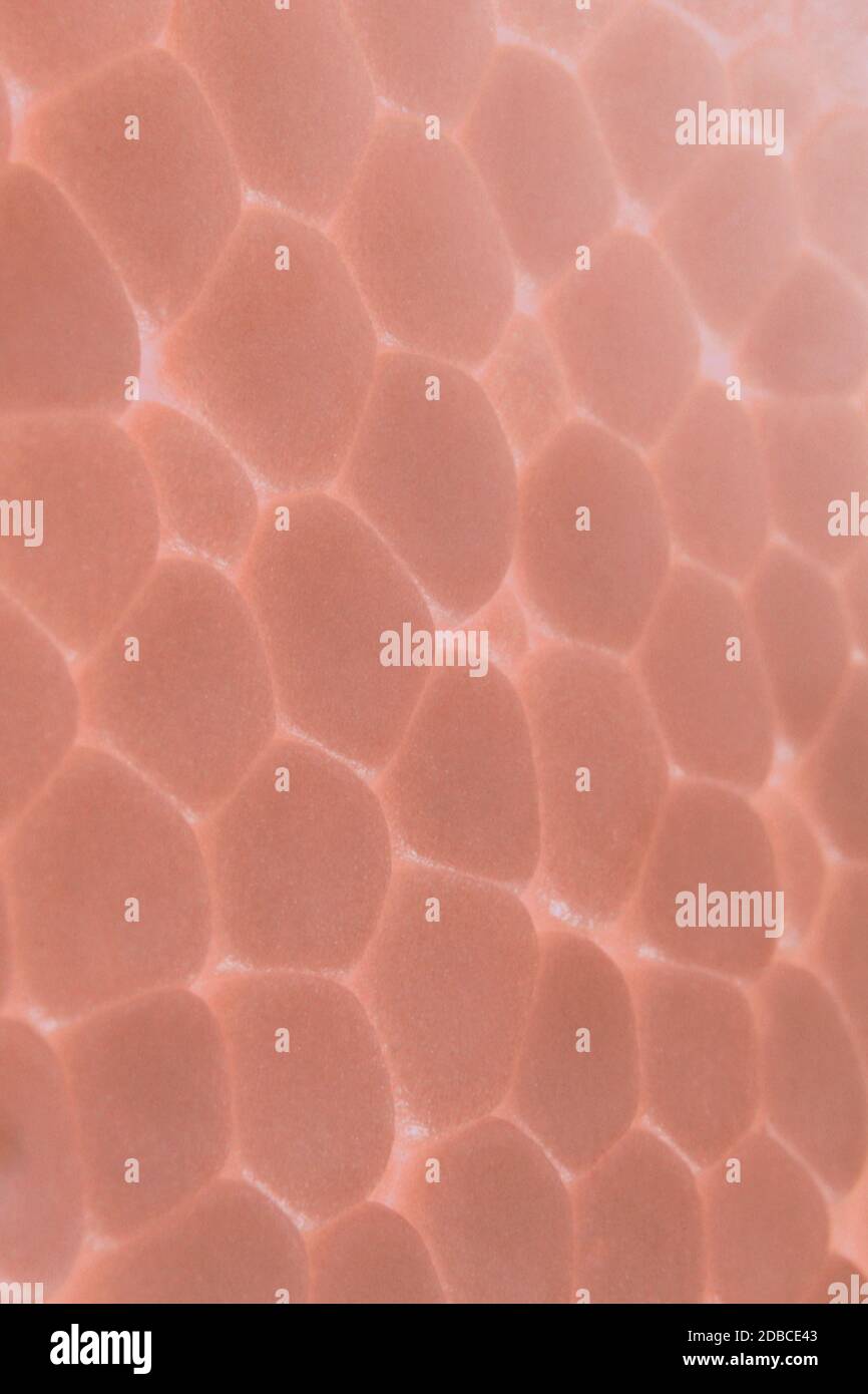 Orange polystyrene styrofoam texture hi-res stock photography and ...