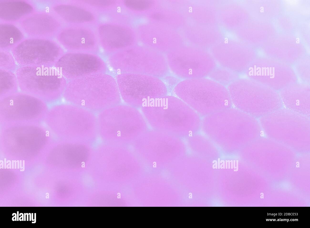 Light Pink Foam Plastic Texture. Abstract Styrofoam Background. Macro ...