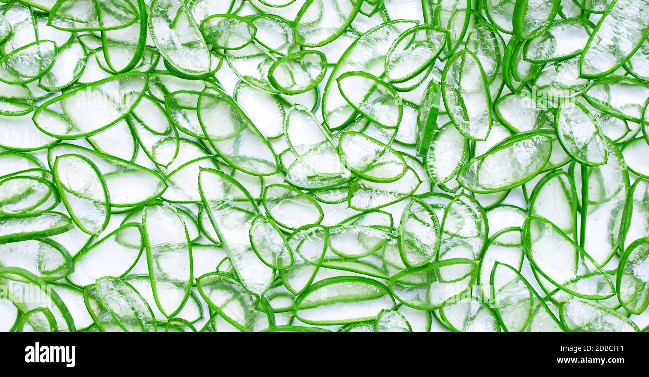 Aloe vera is a popular medicinal plant for health and beauty. Top view ...