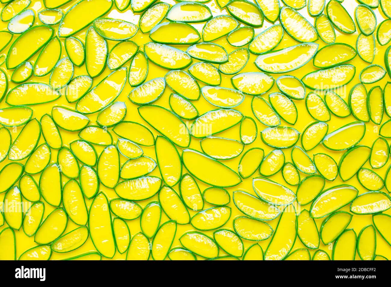 Aloe vera is a popular medicinal plant for health and beauty. Top view ...