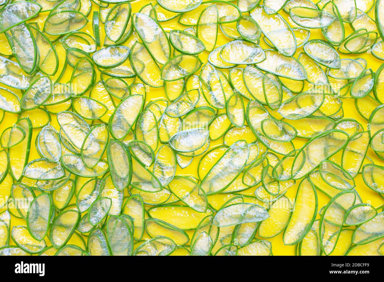 Aloe vera is a popular medicinal plant for health and beauty. Top view ...