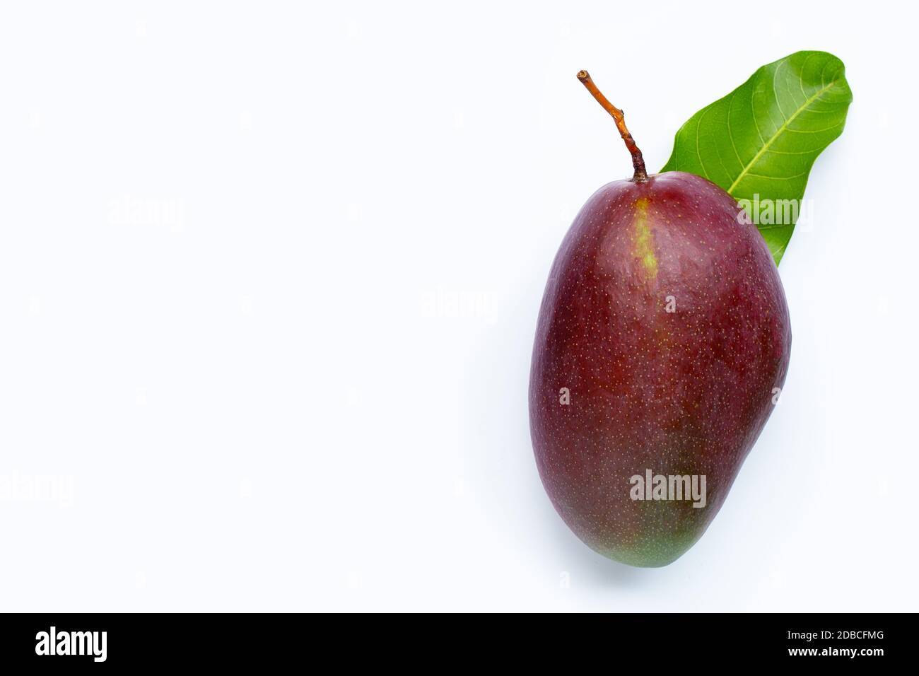 Mango, Tropical fruit with leaves on white background. Top view Stock ...