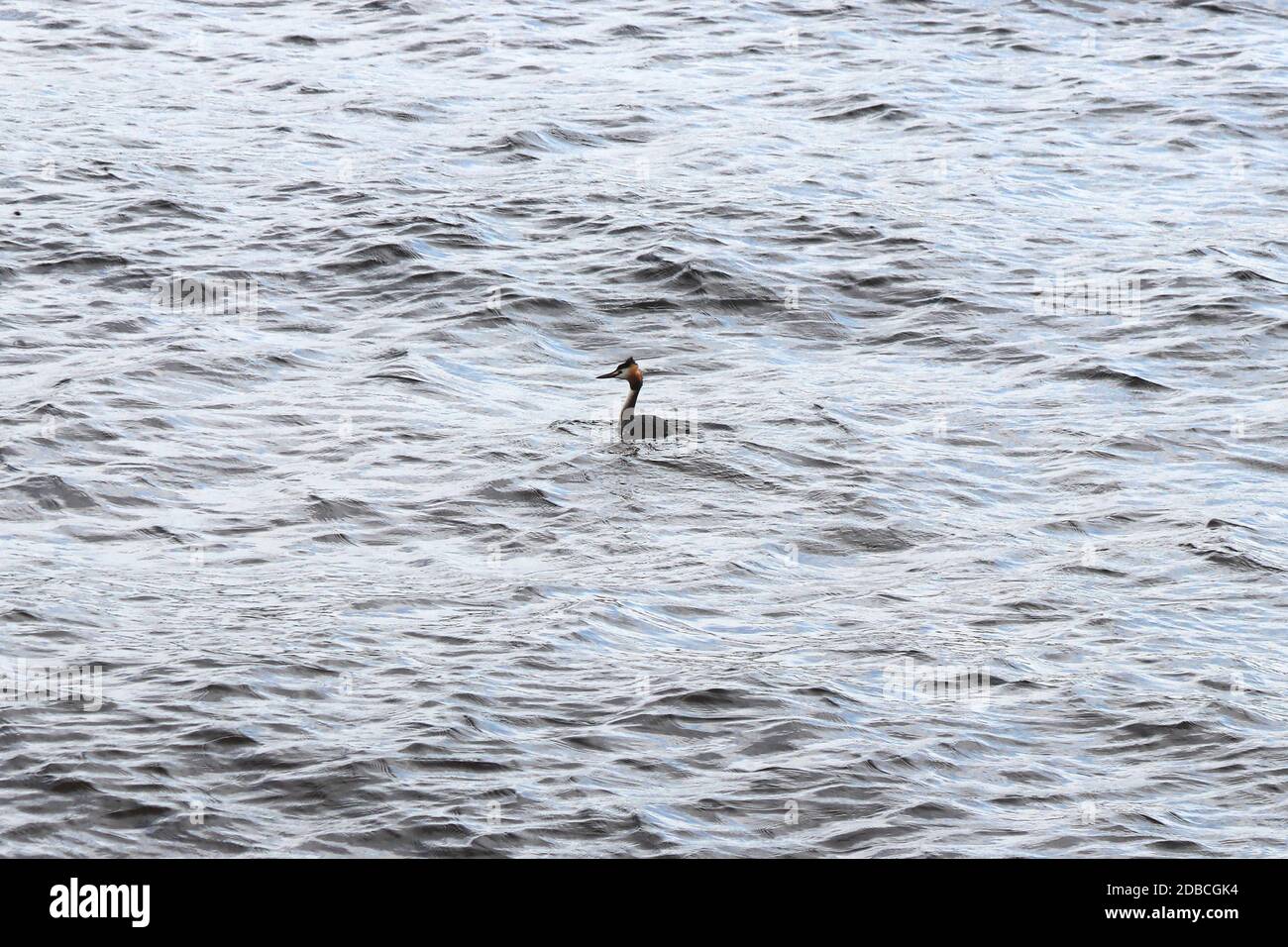 Neva water area hi-res stock photography and images - Alamy