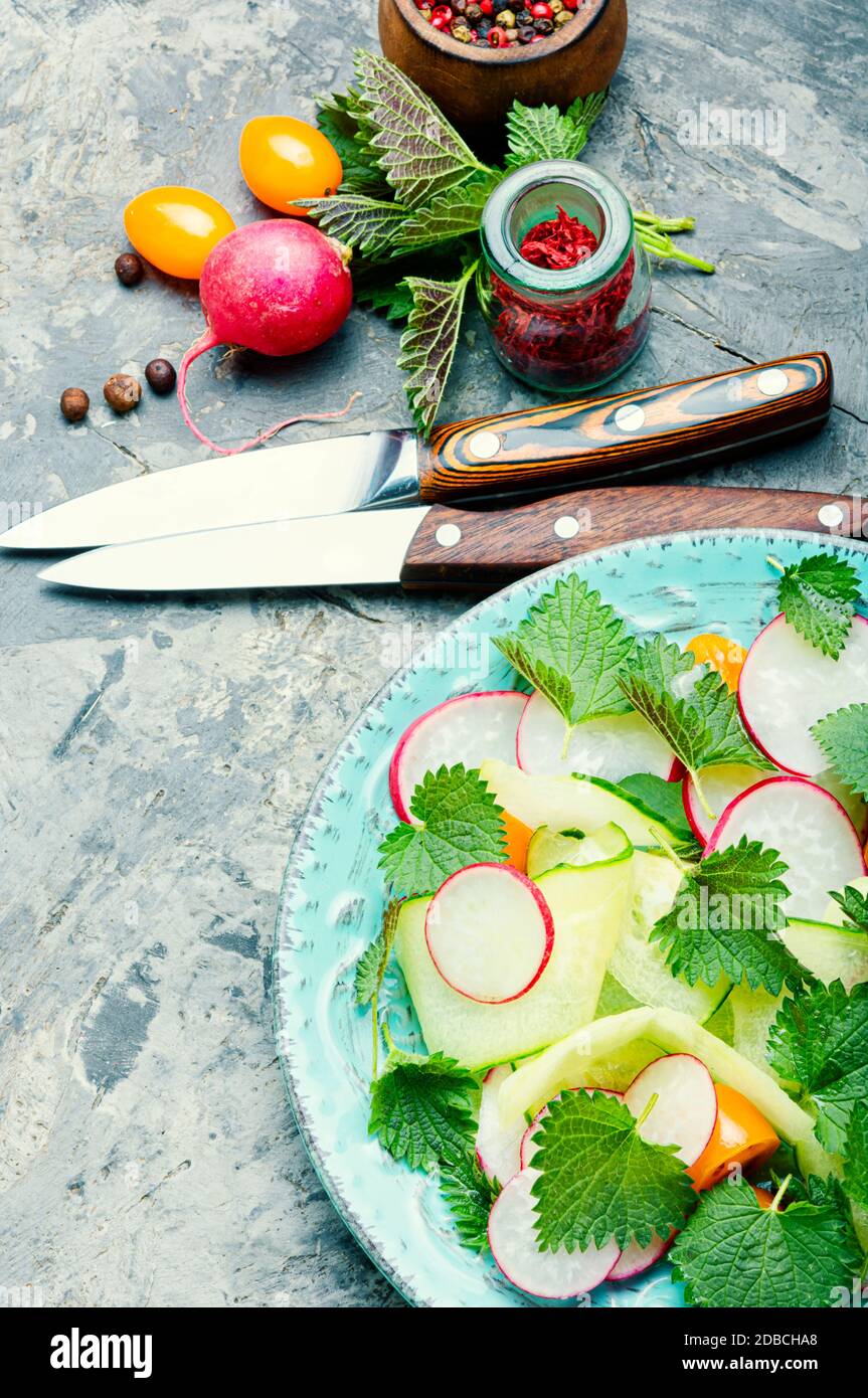 Healthy vegetable salad of nettle on plate.Healthy food concept.Food ...