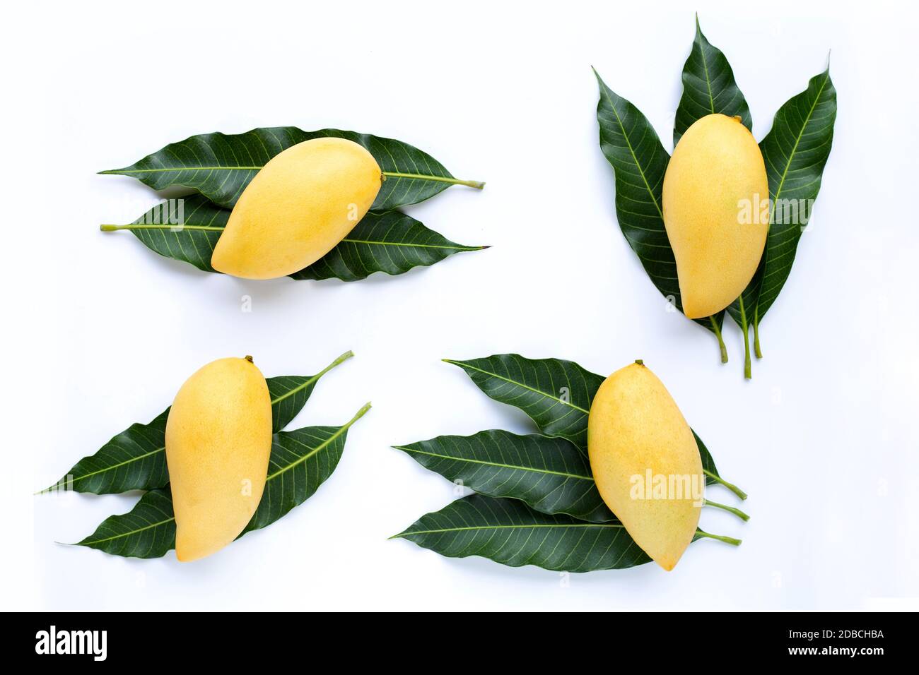 Top view of yellow mango, Tropical fruit juicy and sweet Stock Photo ...