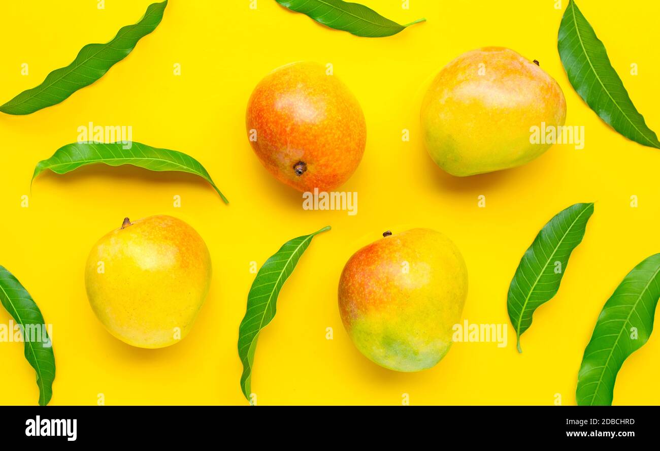 Tropical fruit, Mango on yellow background Stock Photo - Alamy