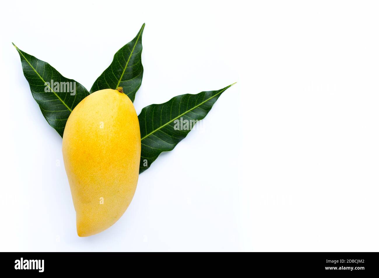 Top view of yellow mango, Tropical fruit juicy and sweet Stock Photo ...