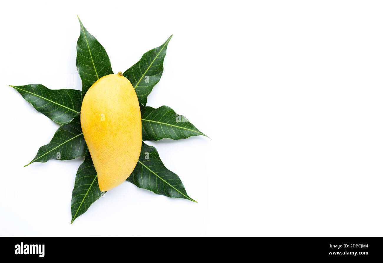 Top view of yellow mango, Tropical fruit juicy and sweet Stock Photo ...