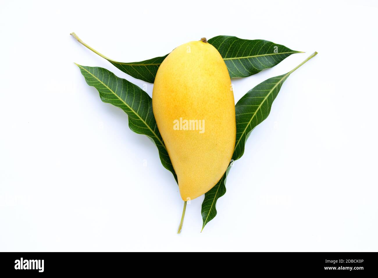 Top view of yellow mango, Tropical fruit juicy and sweet Stock Photo ...