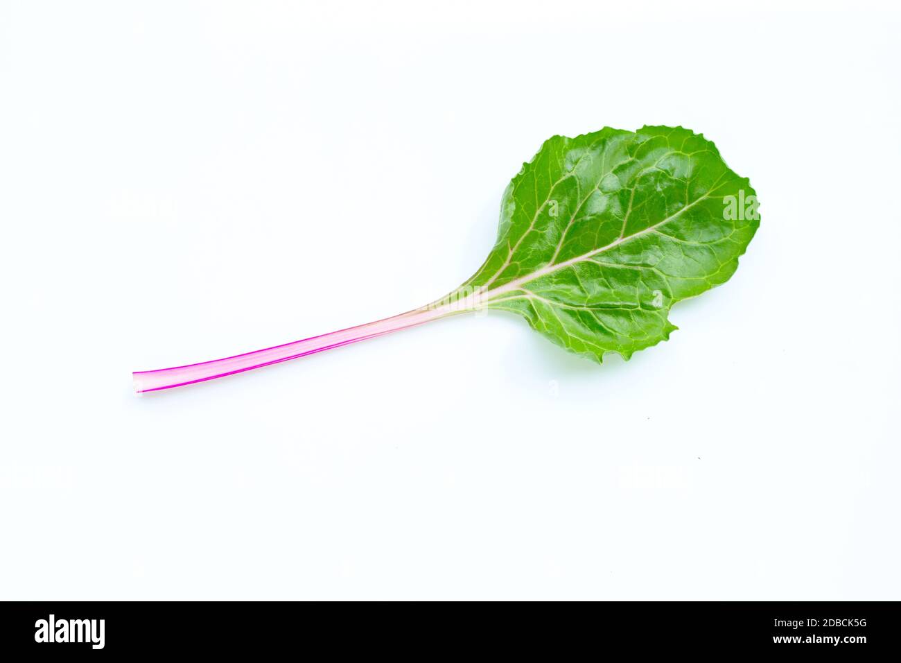 Fresh swiss chard on a white background Stock Photo - Alamy