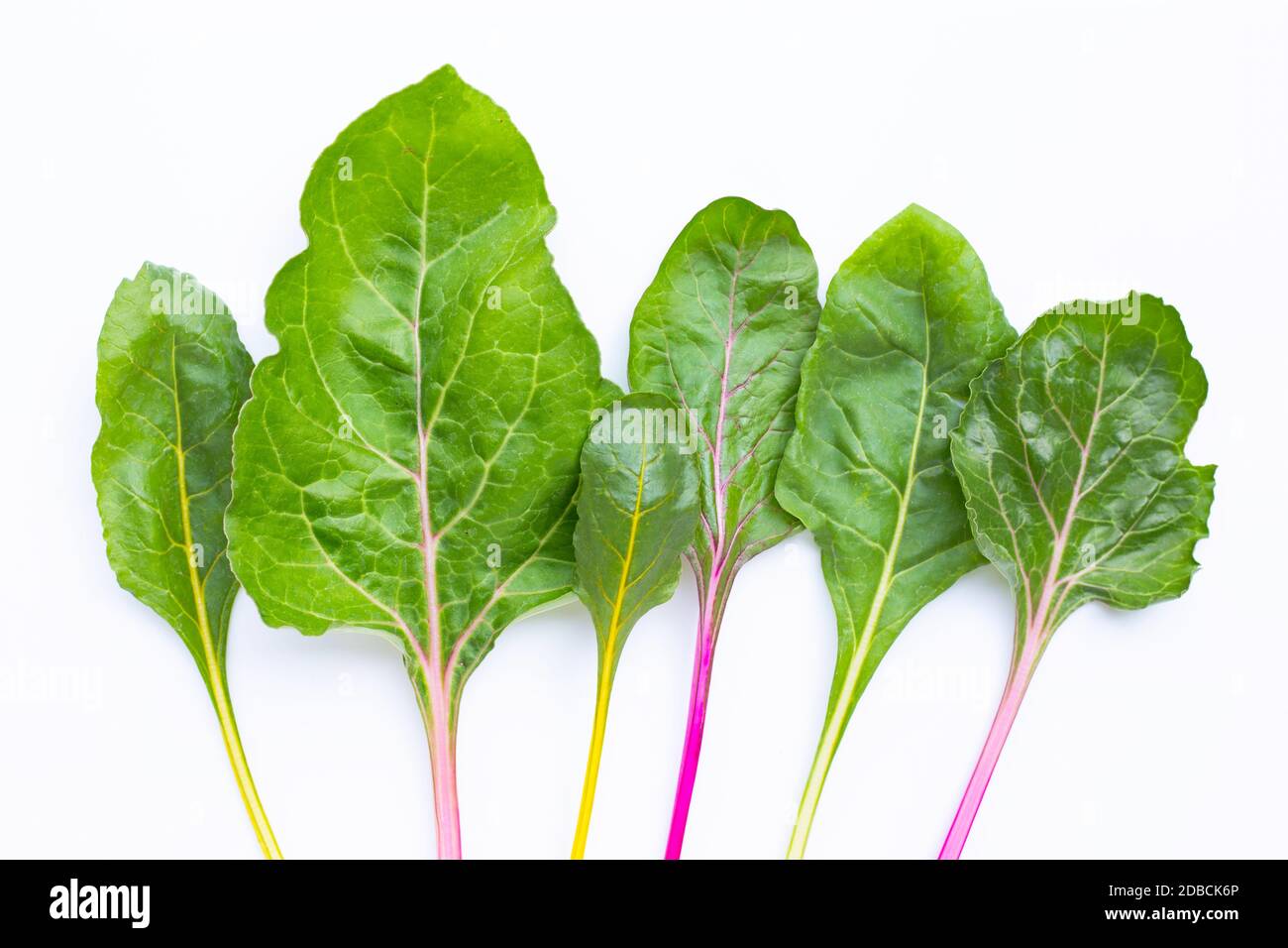 Fresh swiss chard on a white background Stock Photo - Alamy