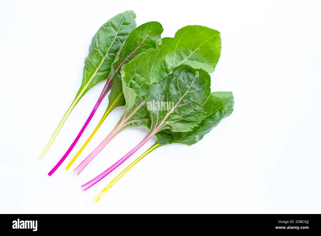 Fresh swiss chard on a white background Stock Photo - Alamy