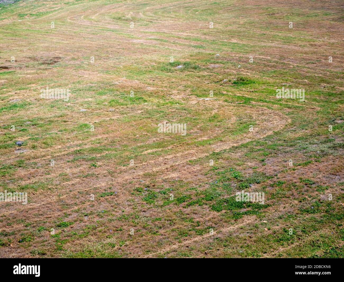green grass lawn on the ground with sand line Stock Photo - Alamy