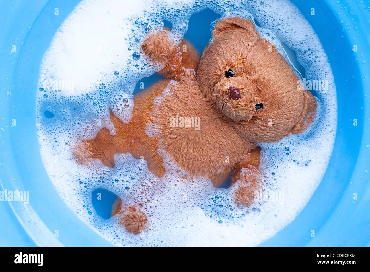 Soak toy bear in laundry detergent water dissolution before washing ...