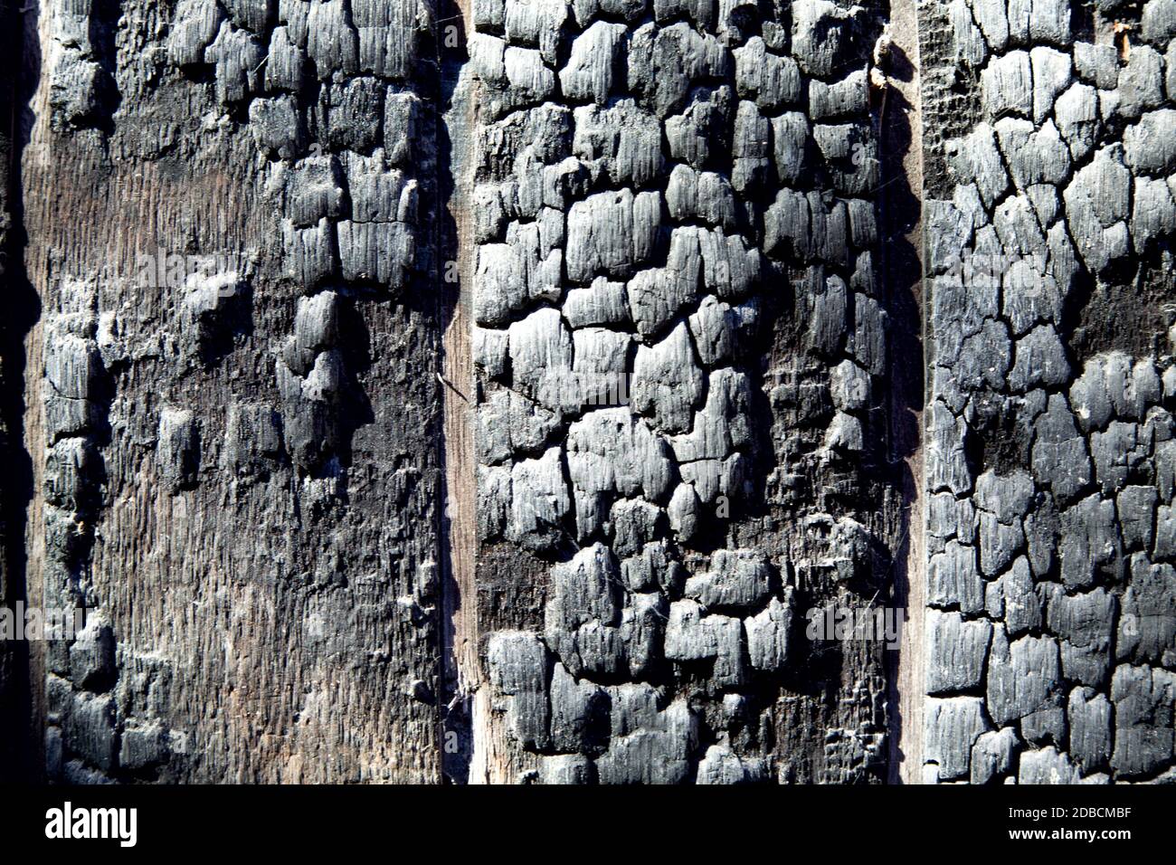 Patterned surface of burned wood Stock Photo - Alamy