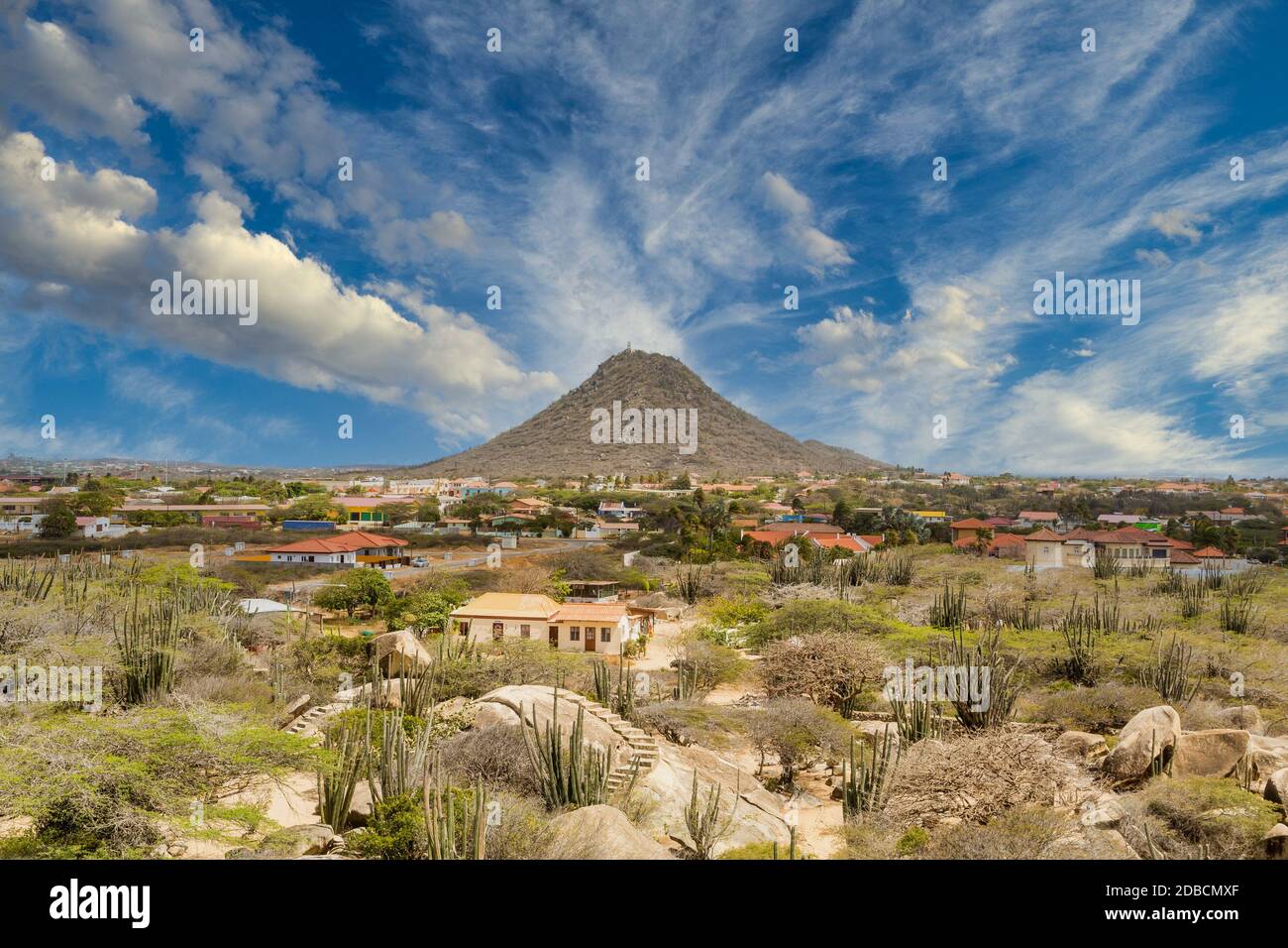 Native Plants Aruba High Resolution Stock Photography and Images - Alamy