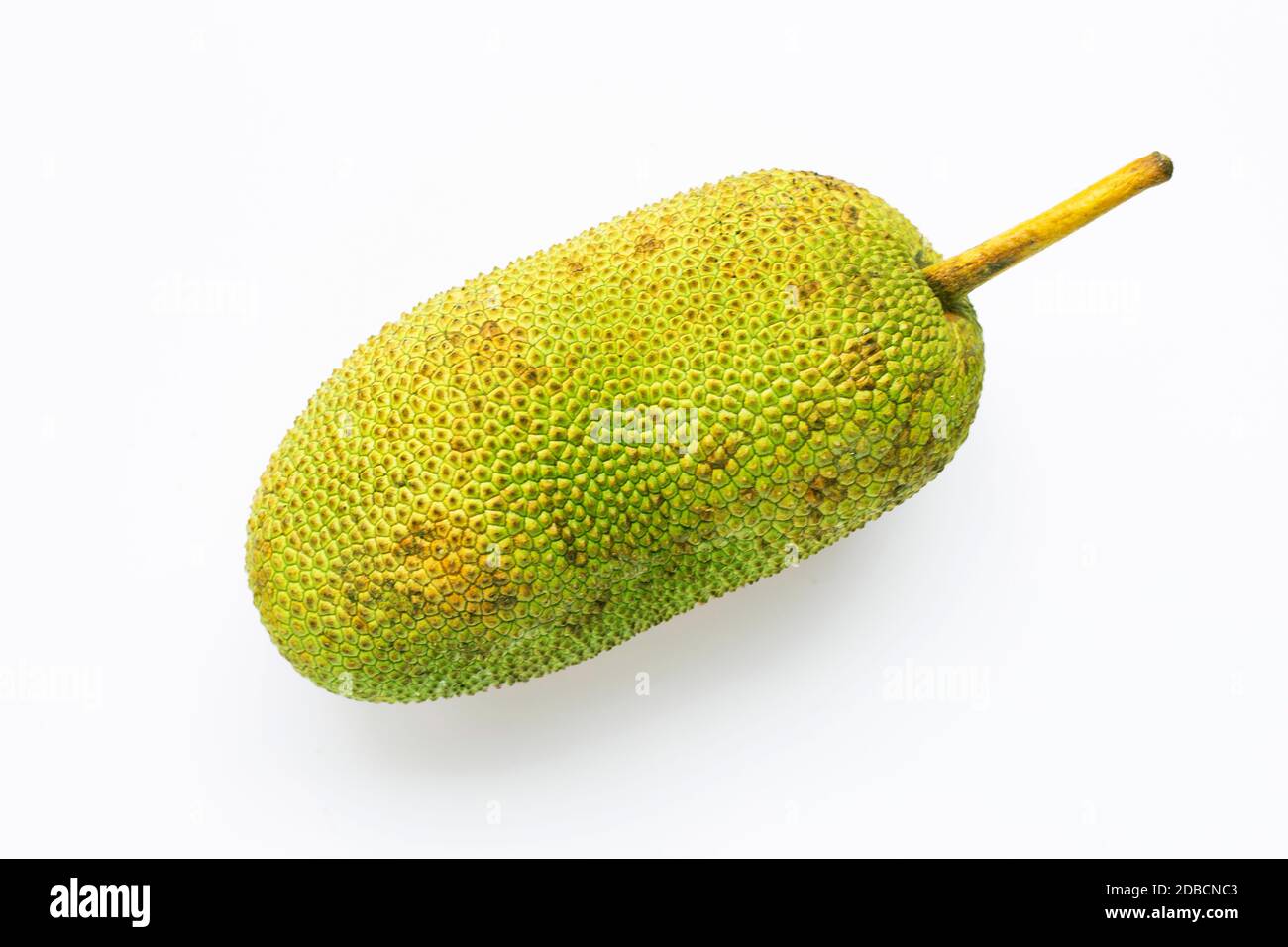 Cempedak artocarpus integer hi-res stock photography and images - Alamy