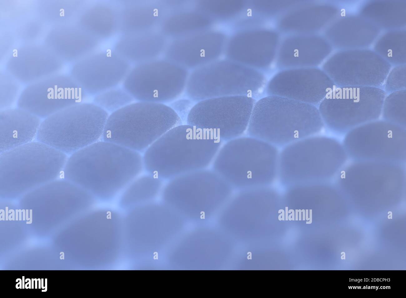 Dark Blue Foam Plastic Texture. Abstract Styrofoam Background. Macro ...