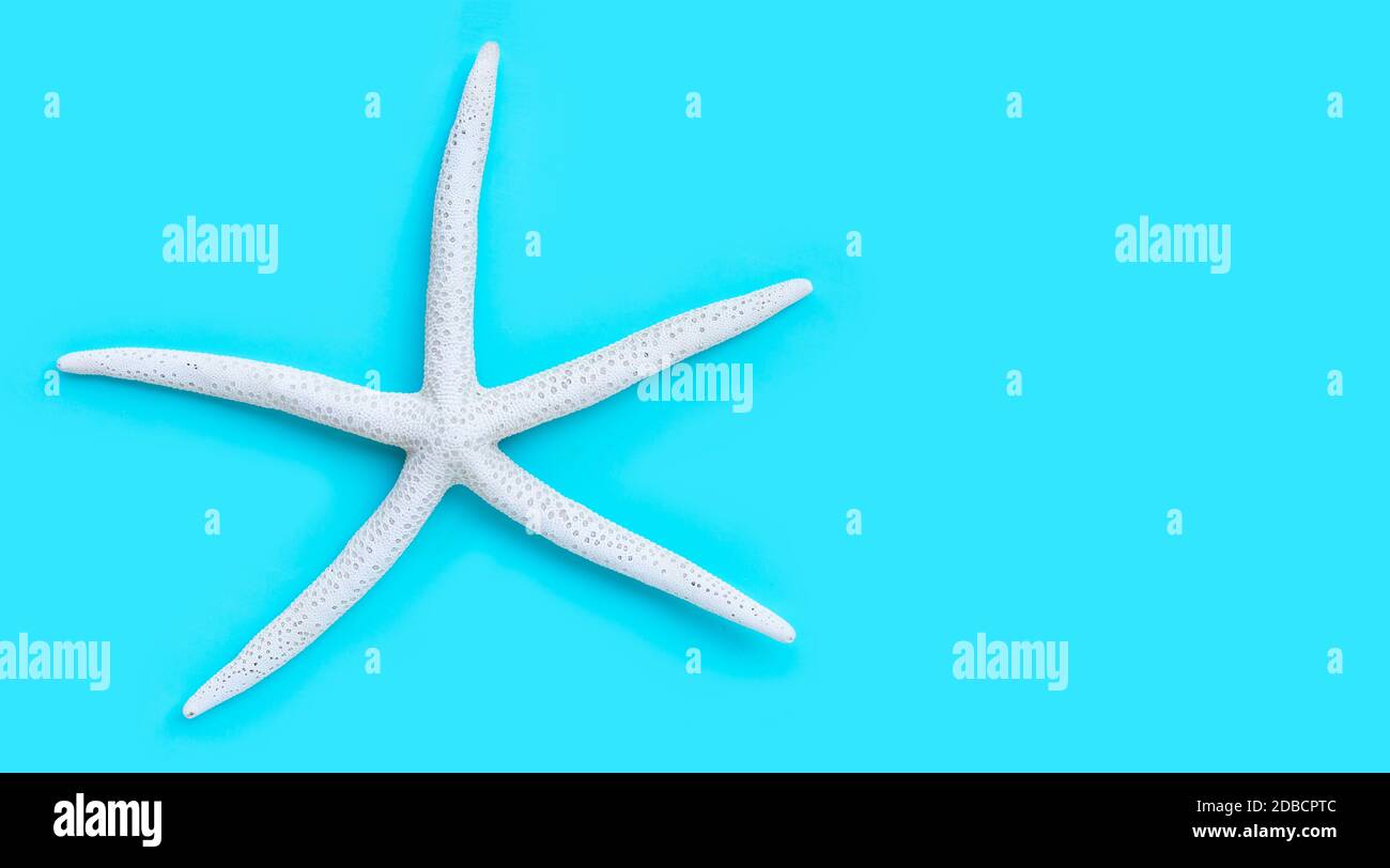 Starfish on blue background. Top view with copy space Stock Photo - Alamy