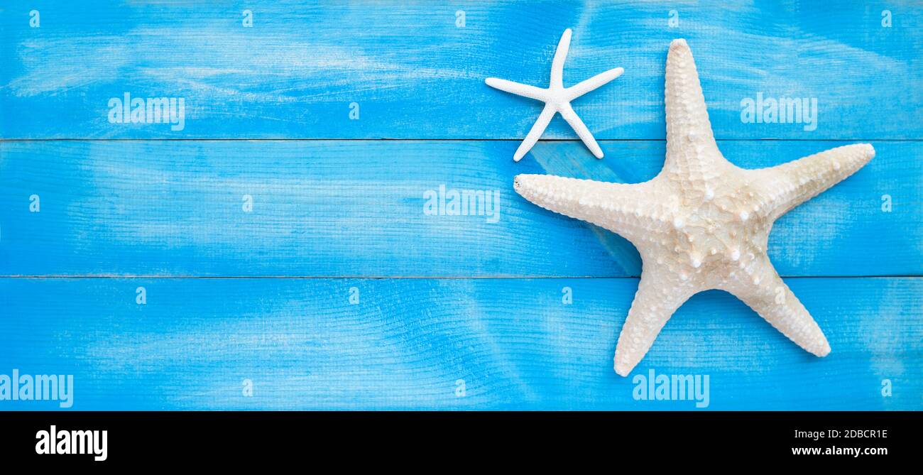 Two starfish species hi-res stock photography and images - Alamy