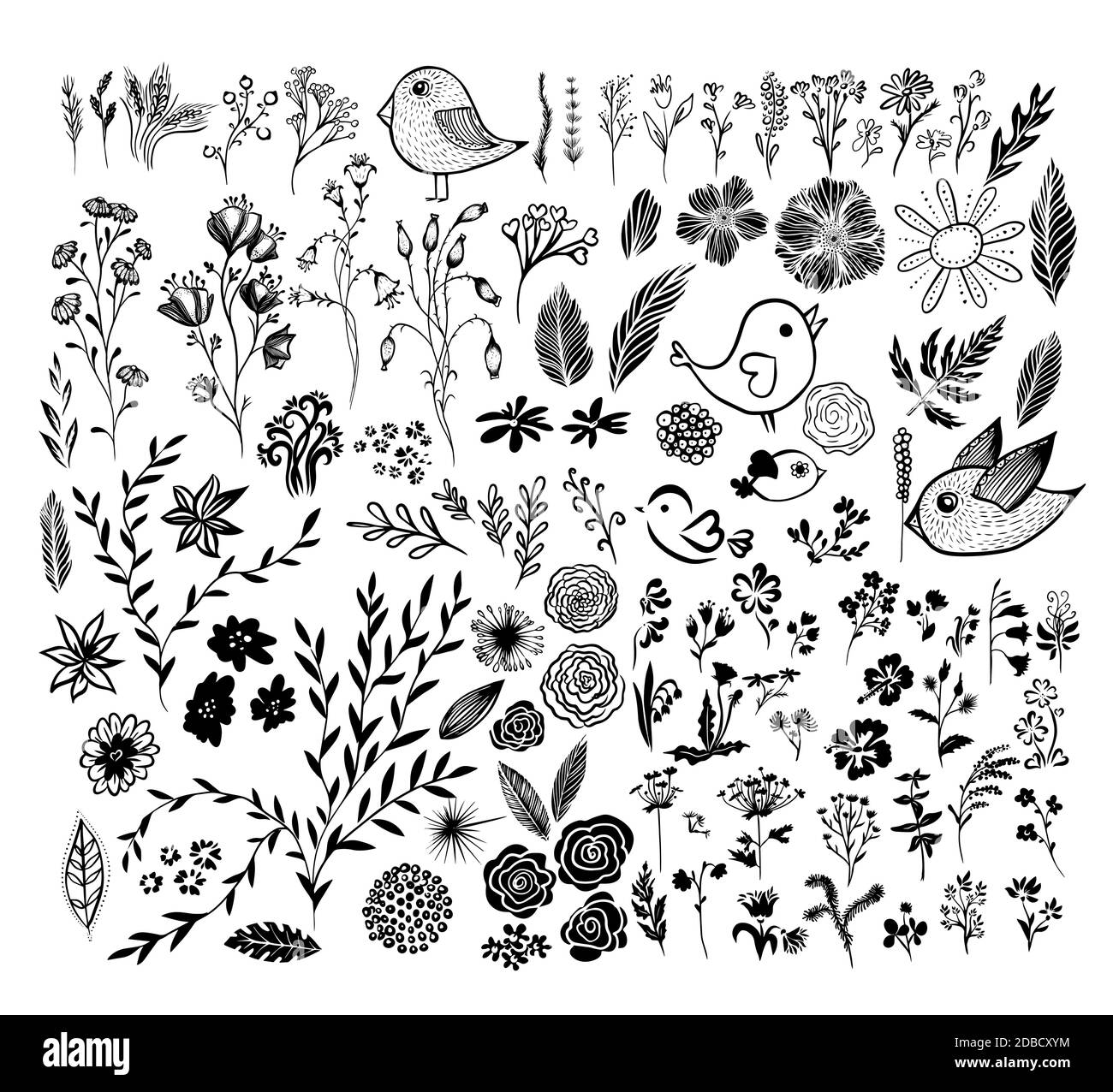 Vector floral monochrome backgrounds Black and White Stock Photos ...