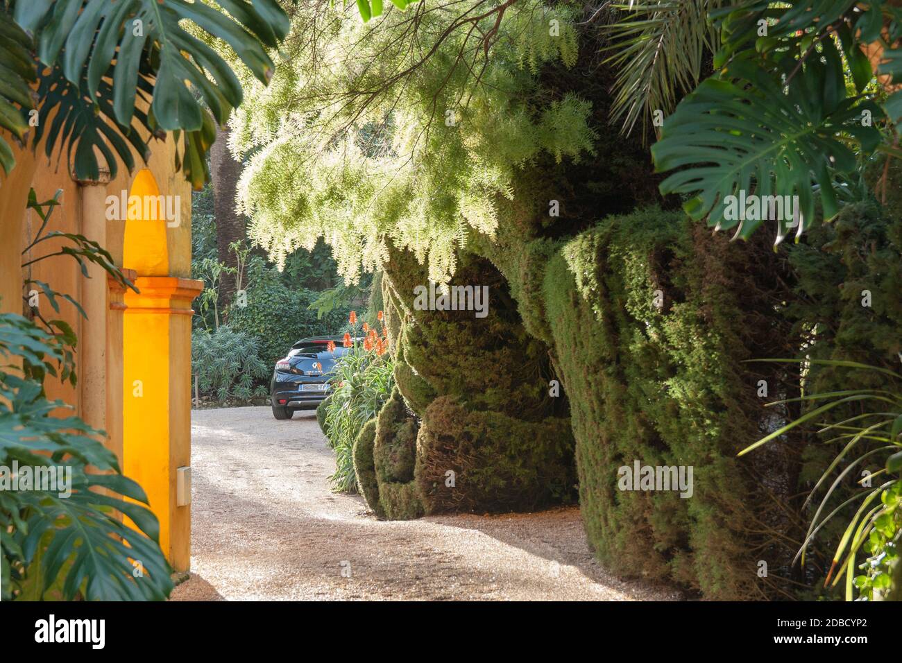 Sunny late afternoon in a Mediterranean mansion. Brilliant ocher walls ...