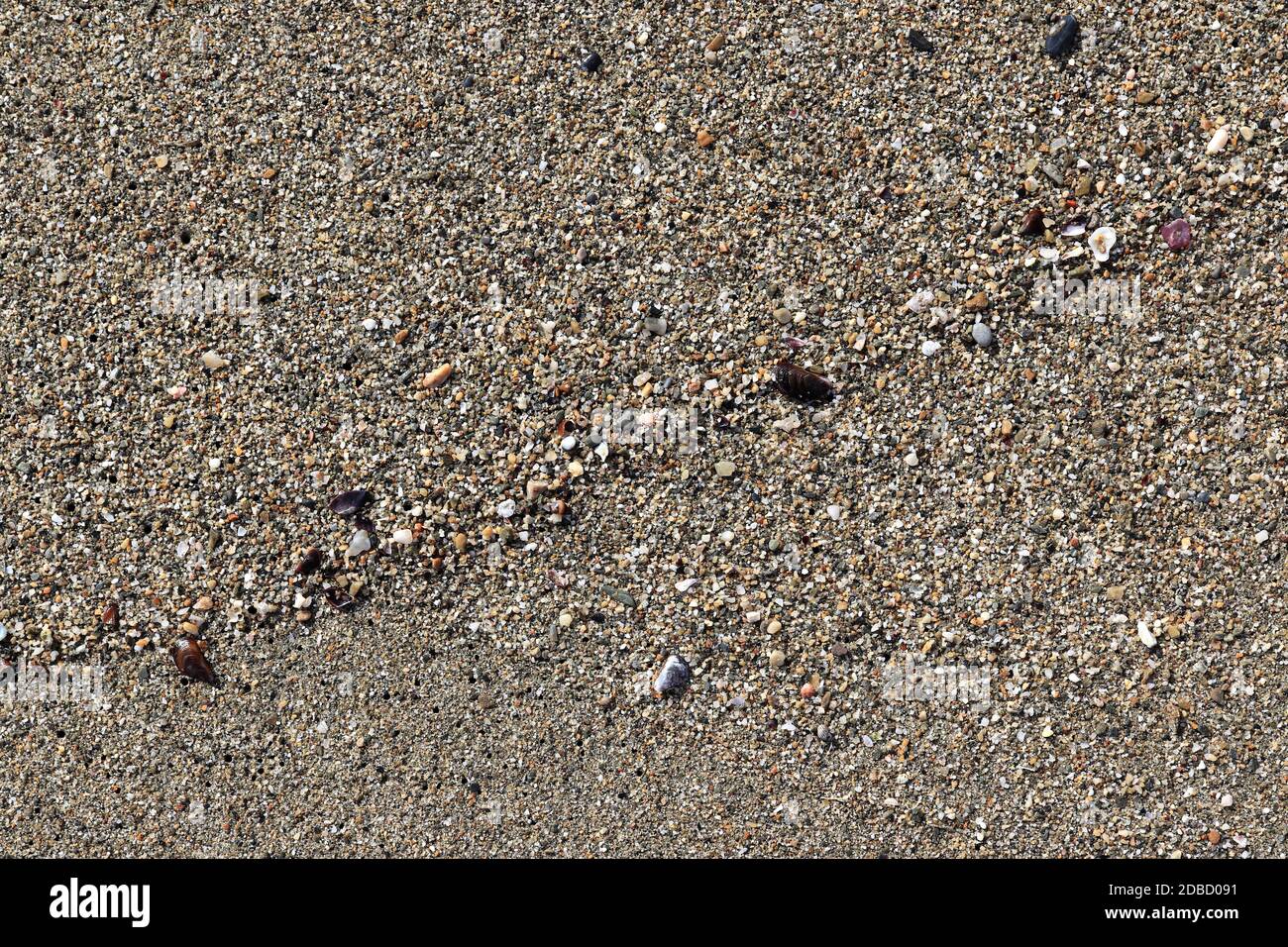 Sand with shells texture. Summer beach background Stock Photo - Alamy