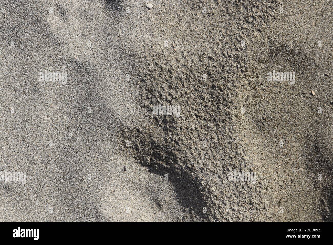 Dry and wet sand texture. Summer beach background Stock Photo - Alamy