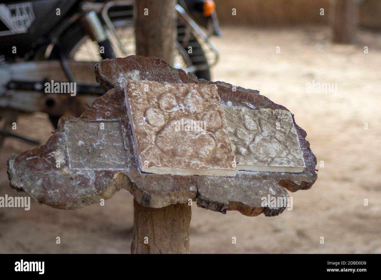 Tiger pug mark hi-res stock photography and images - Alamy