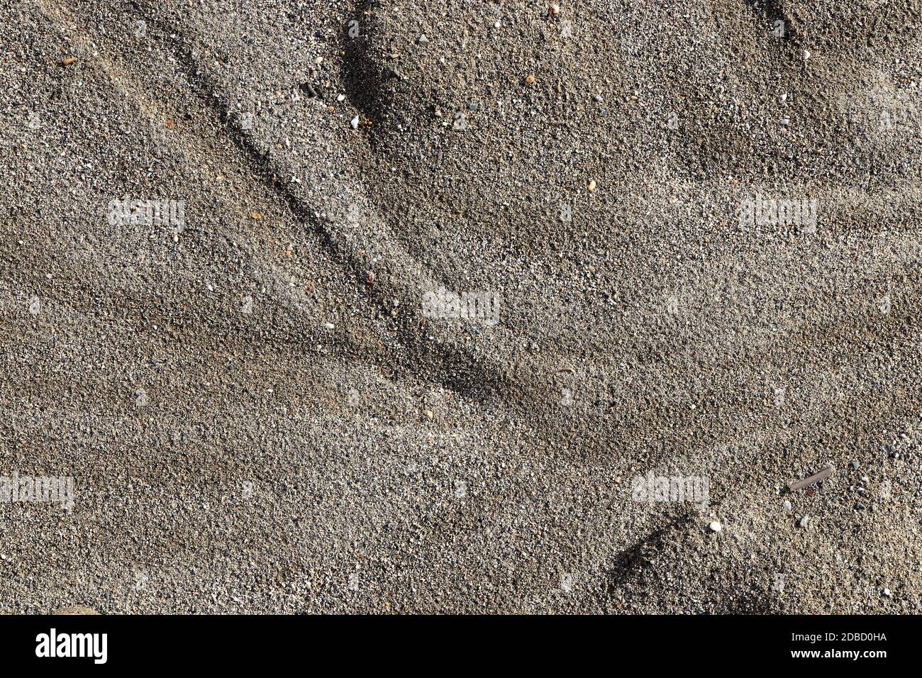 Sea Beach Sand Texture. Sandy Surface Backdrop. Outdoor sand background ...