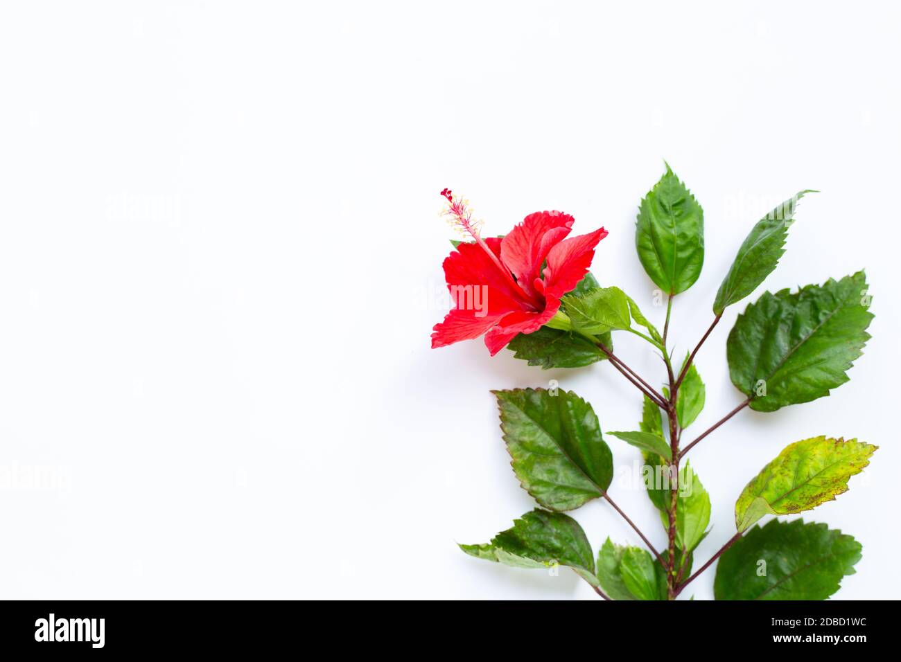 Travel in china beautiful Cut Out Stock Images & Pictures - Alamy