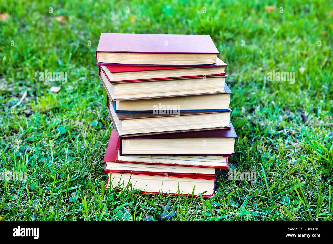 Pile of the Old Books on the Grass Stock Photo - Alamy