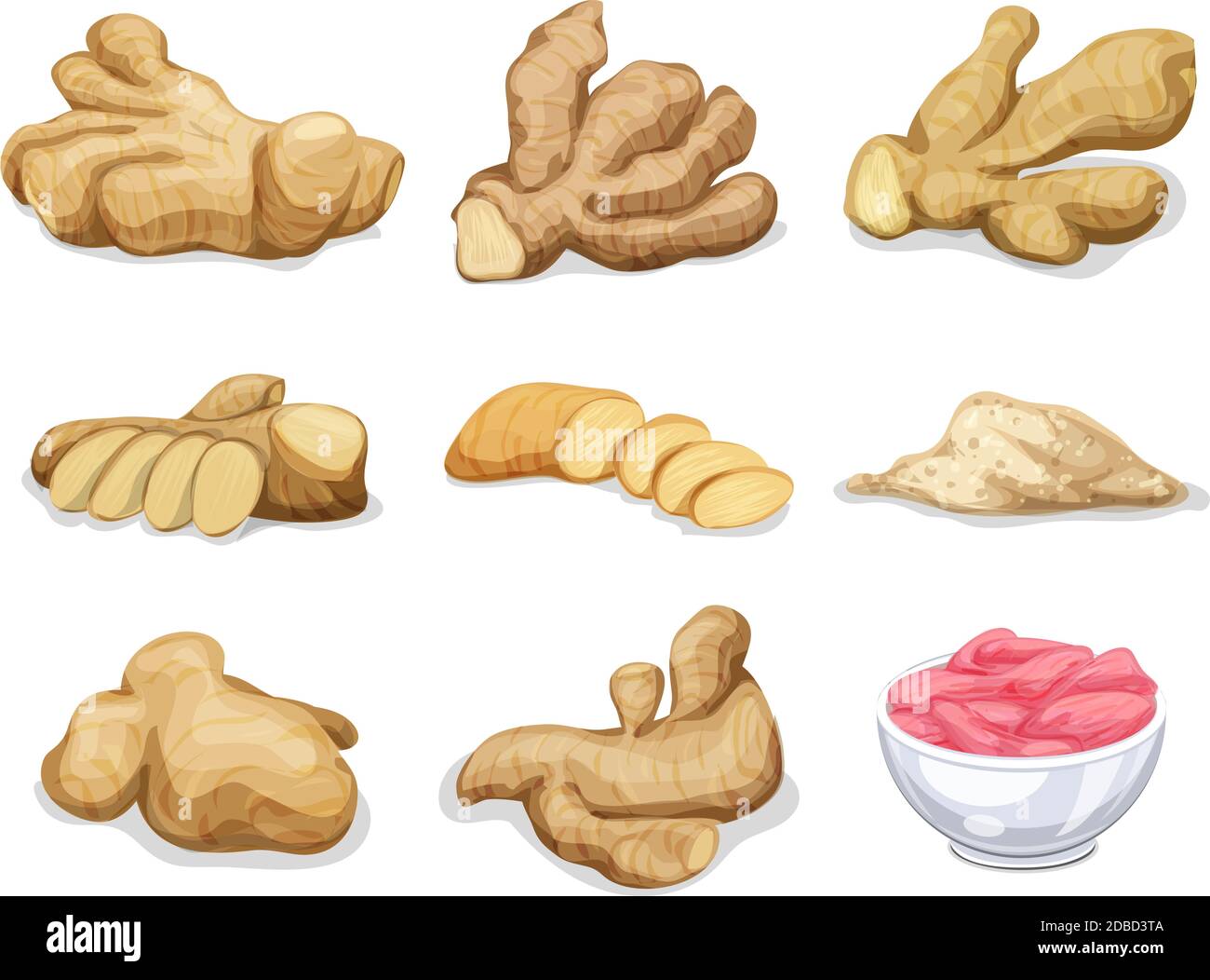 Ginger root icons set, cartoon style Stock Vector Image & Art - Alamy