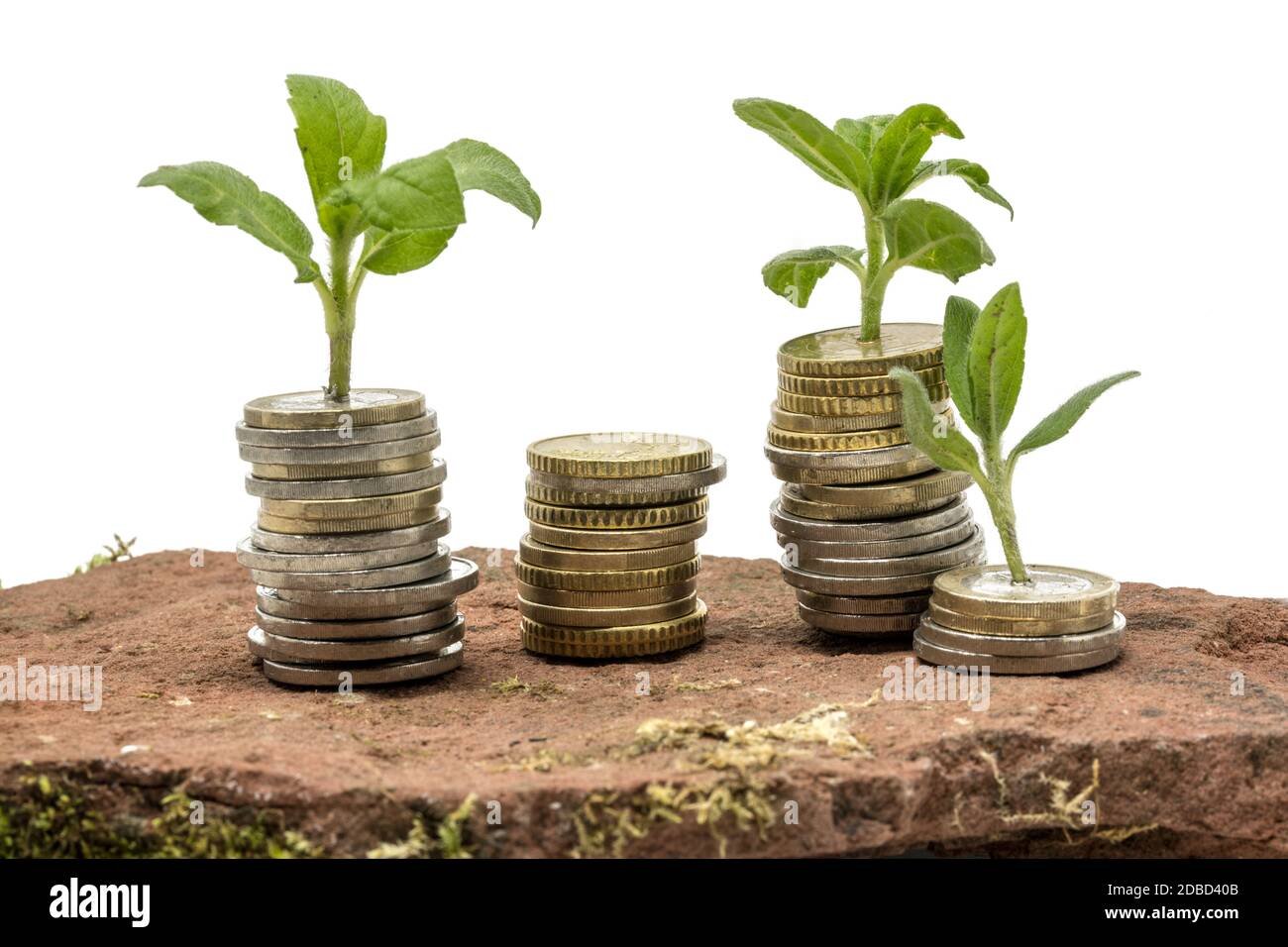 Small plants grow out of stacked money coins on a sandstone isolated on ...