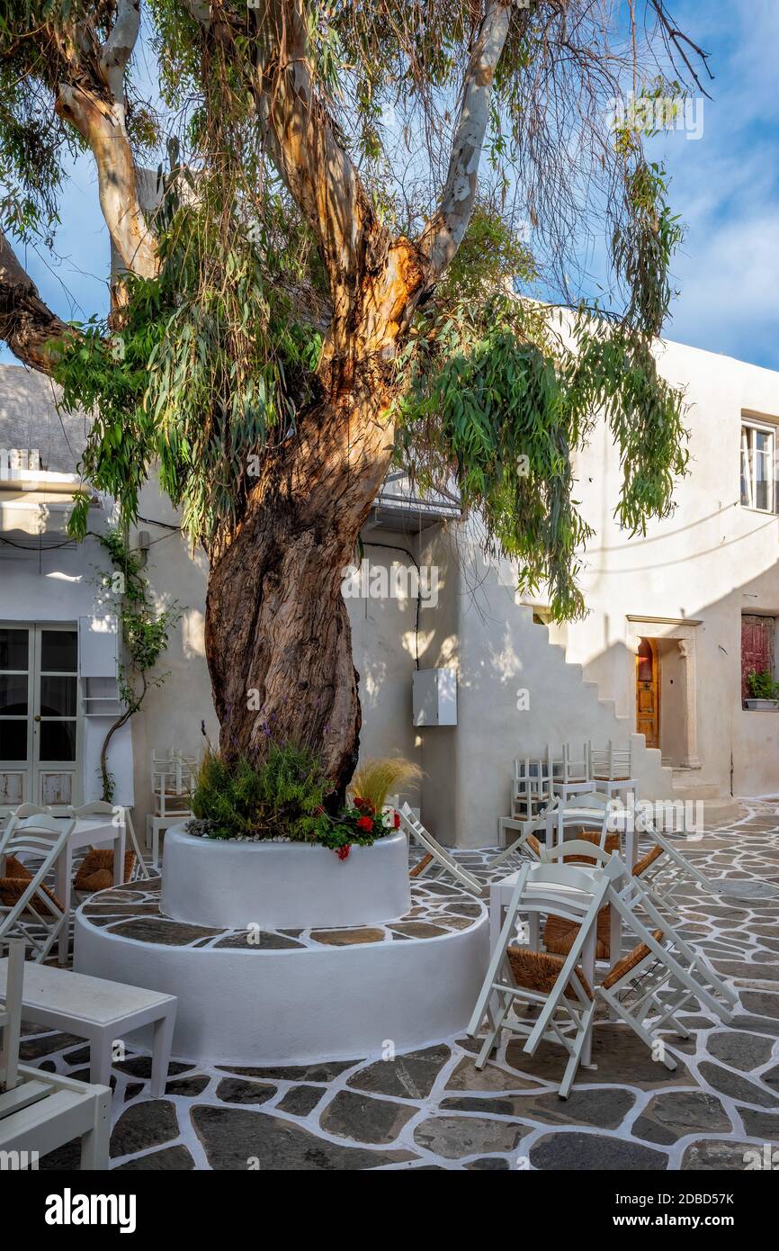 Picturesque narrow street with traditional whitewashed houses of Naousa ...