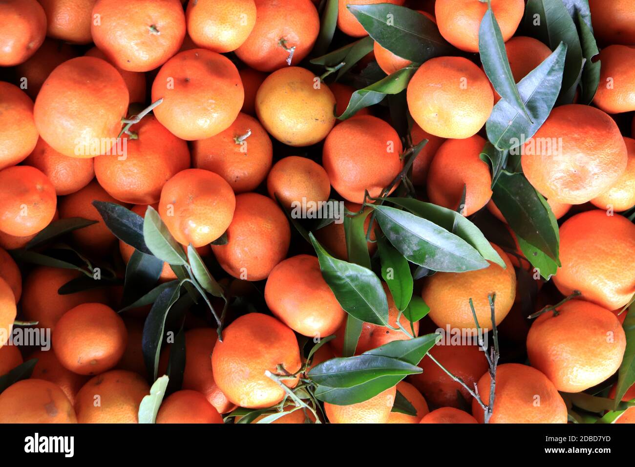 Mandarins with leaves texture. Tangerines showcase background Stock ...