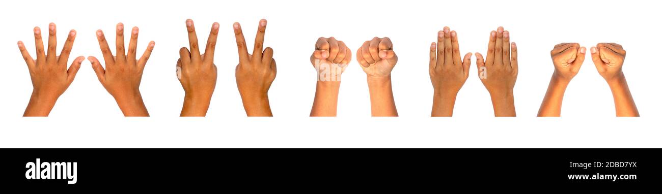 Set of hands isolated on white background Stock Photo - Alamy