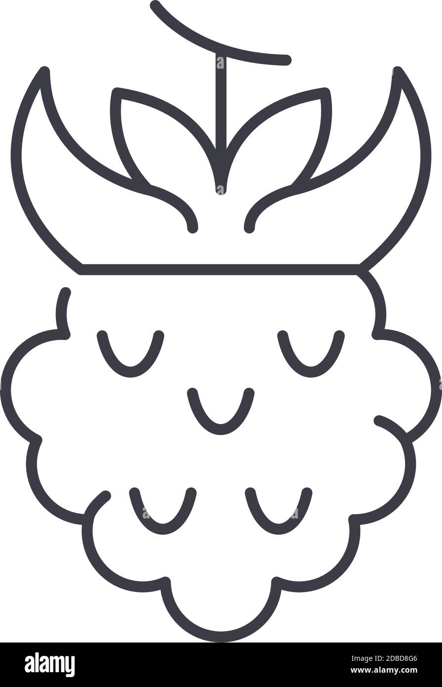 Raspberry icon, linear isolated illustration, thin line vector, web ...