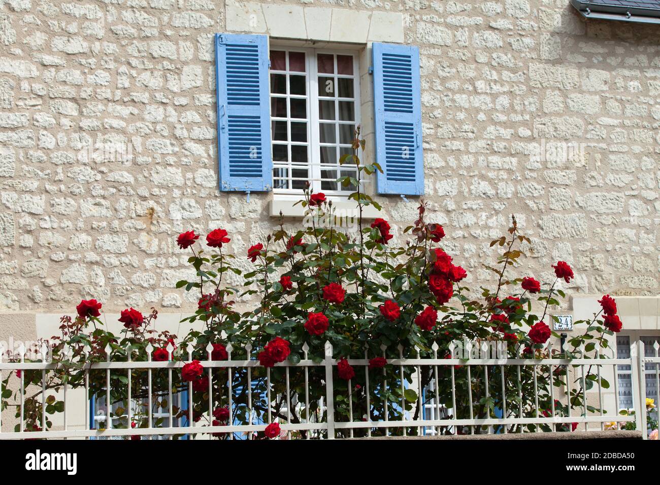 The romantic window with red roses Stock Photo - Alamy