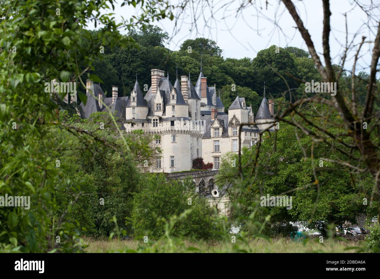 Castel of Rigny-Usse Known as the Sleeping Beauty Castle and built in ...