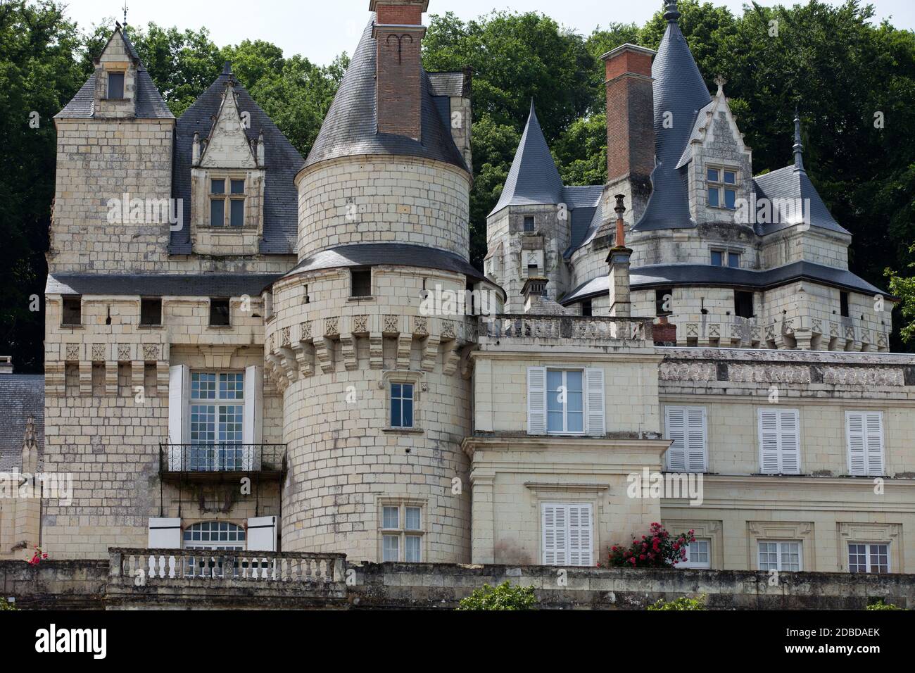 Usse forest hi-res stock photography and images - Alamy