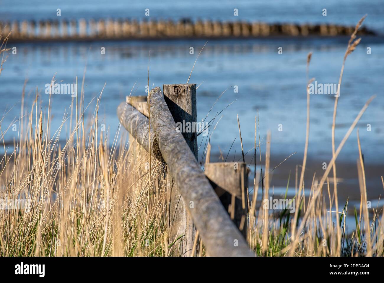 Wadden sea national park wadden hi-res stock photography and images - Alamy