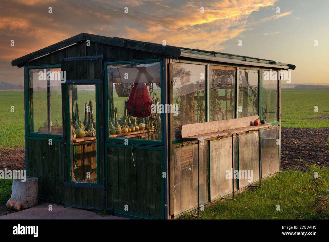Greenhouse in the home garden, planting cactus nursery. Wooden ...