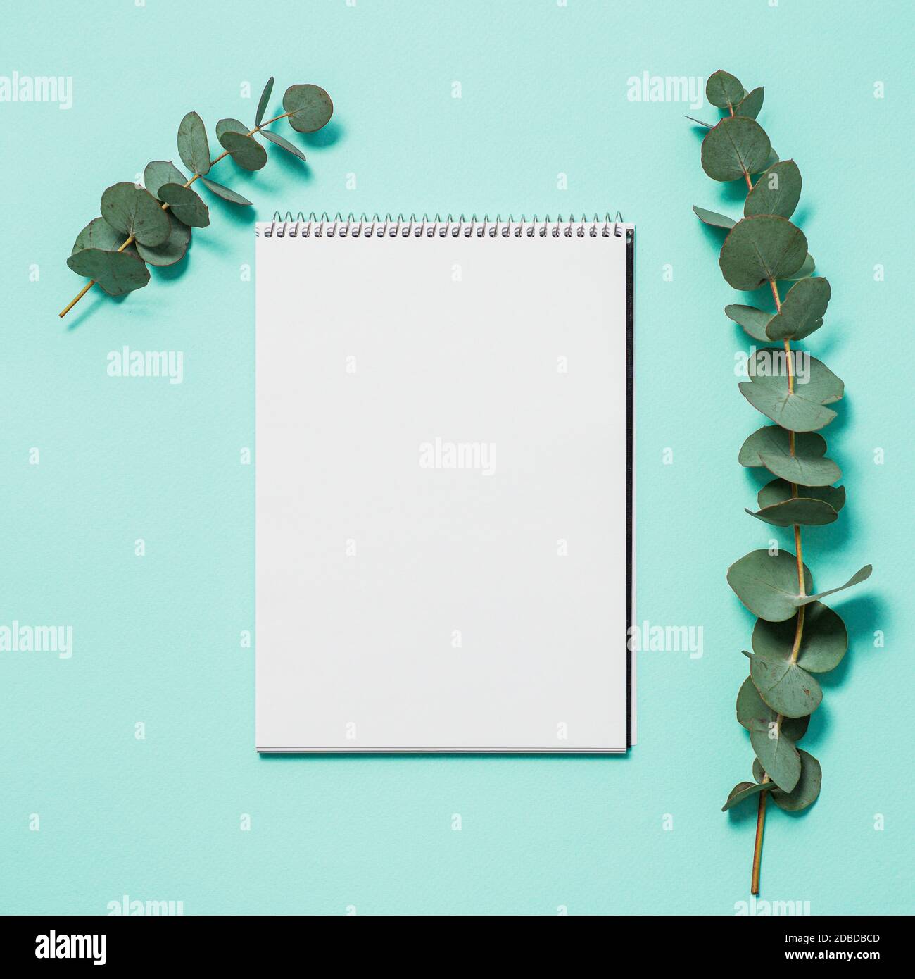 Blank notebook and eucalyptus on blue background. Empty notebook paper ...