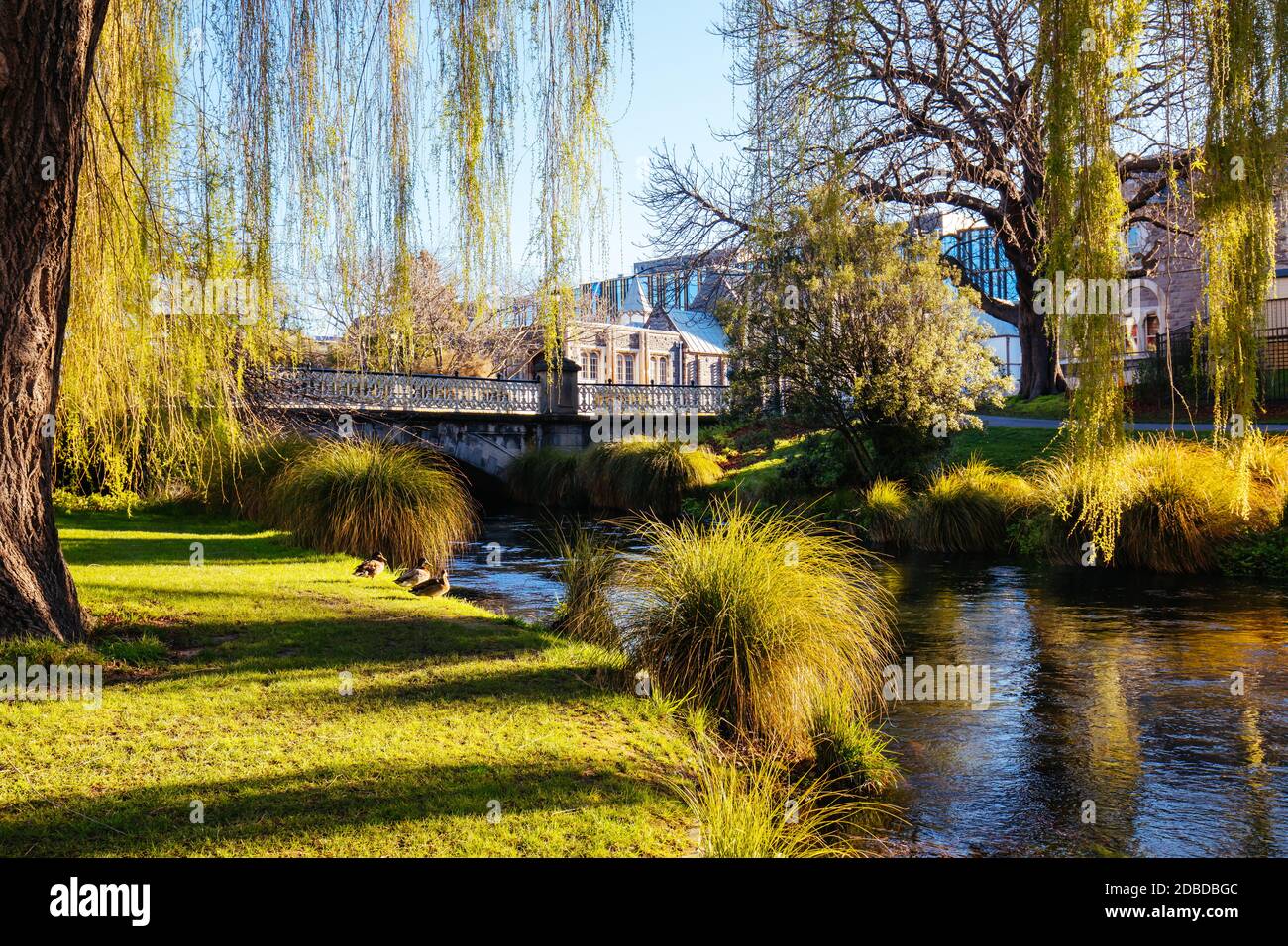 River Avon Views in Christchurch New Zealand Stock Photo - Alamy