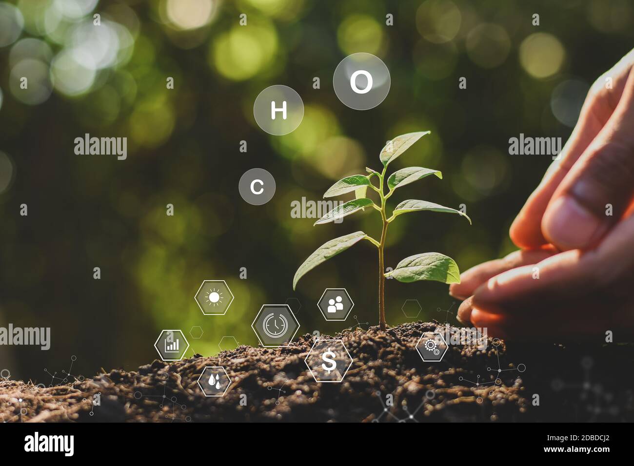 Seedlings are growing from fertile soil, environmental concepts Stock ...