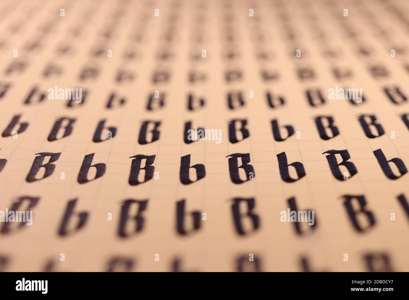 Calligraphic letter B learning skills paper page. Calligraphy letters B ...