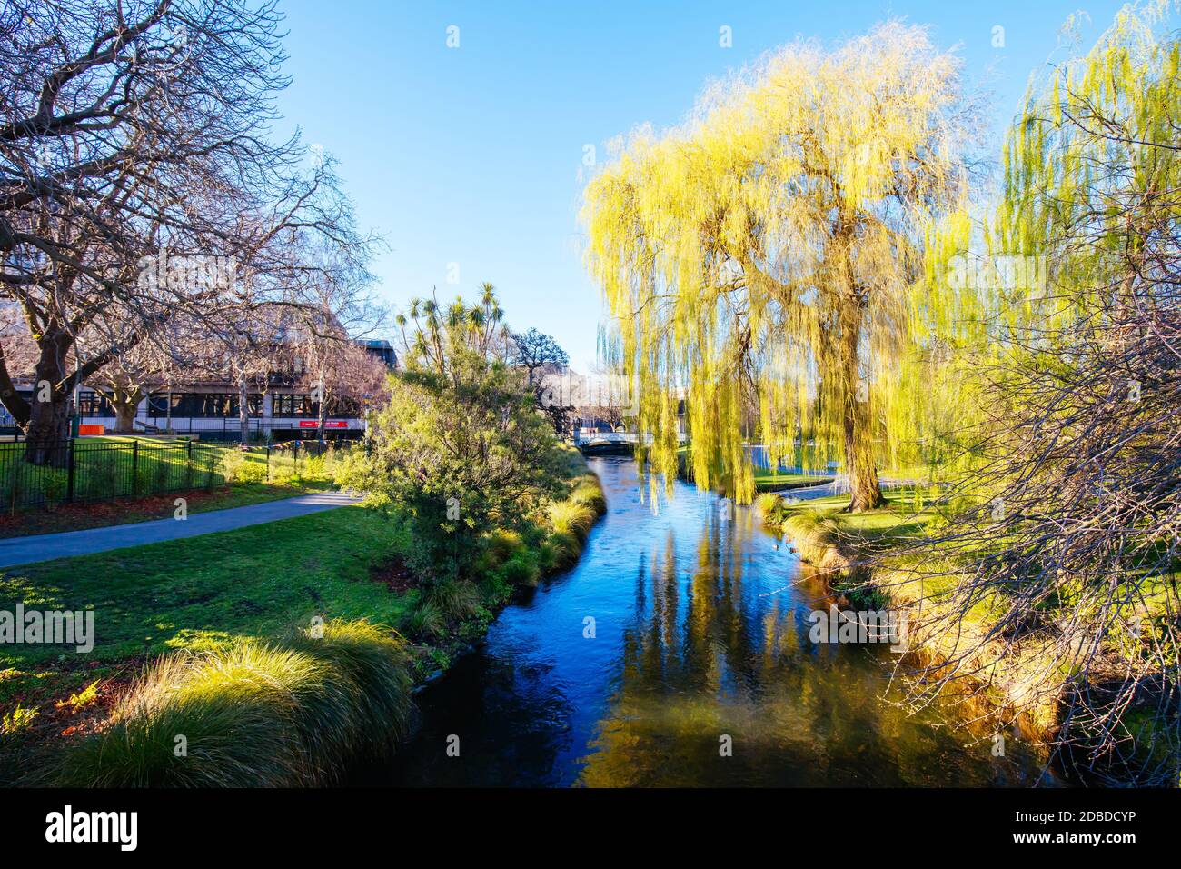 River Avon Views in Christchurch New Zealand Stock Photo - Alamy