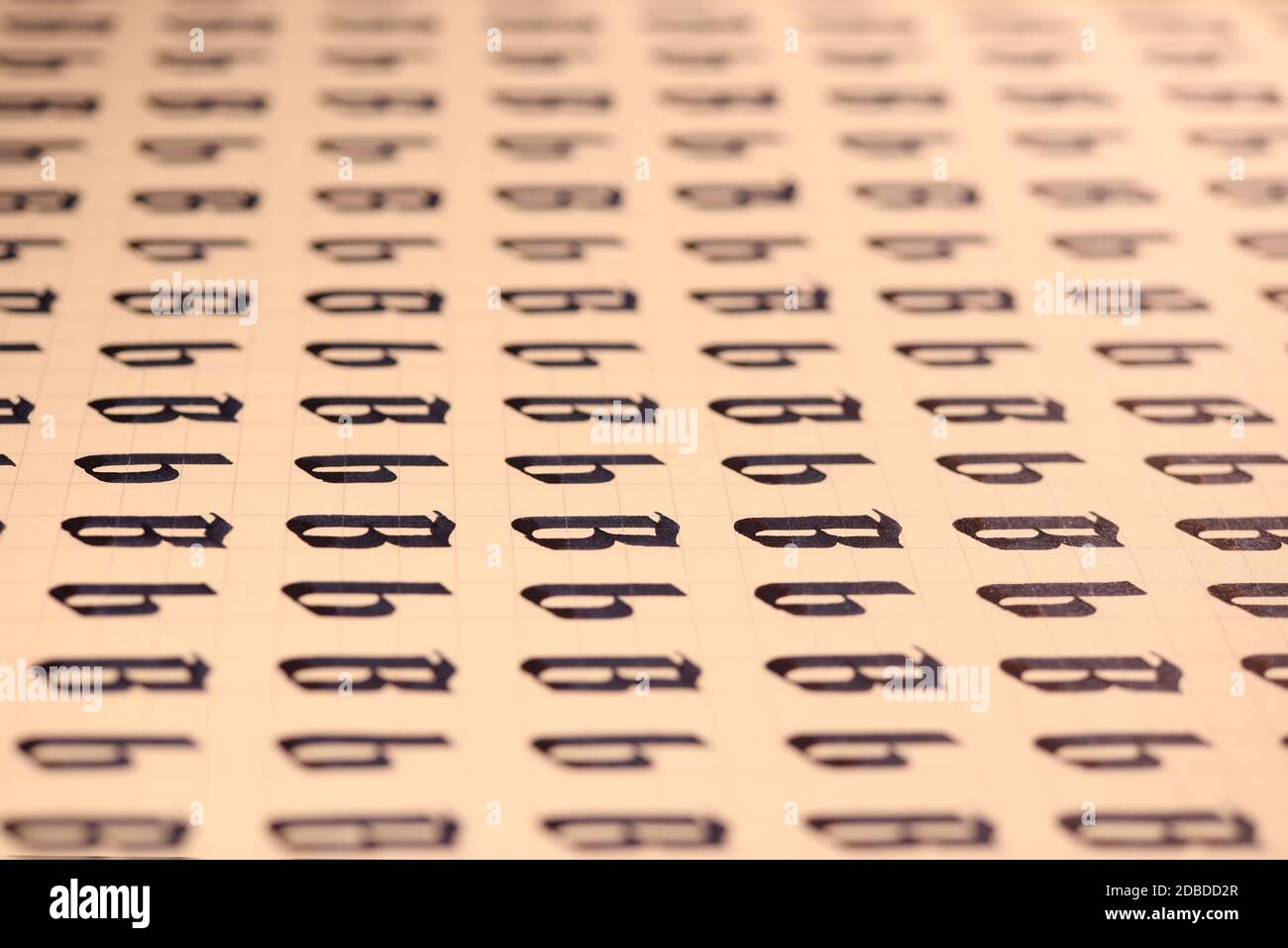 Calligraphic letter B learning skills paper page. Calligraphy letters B ...