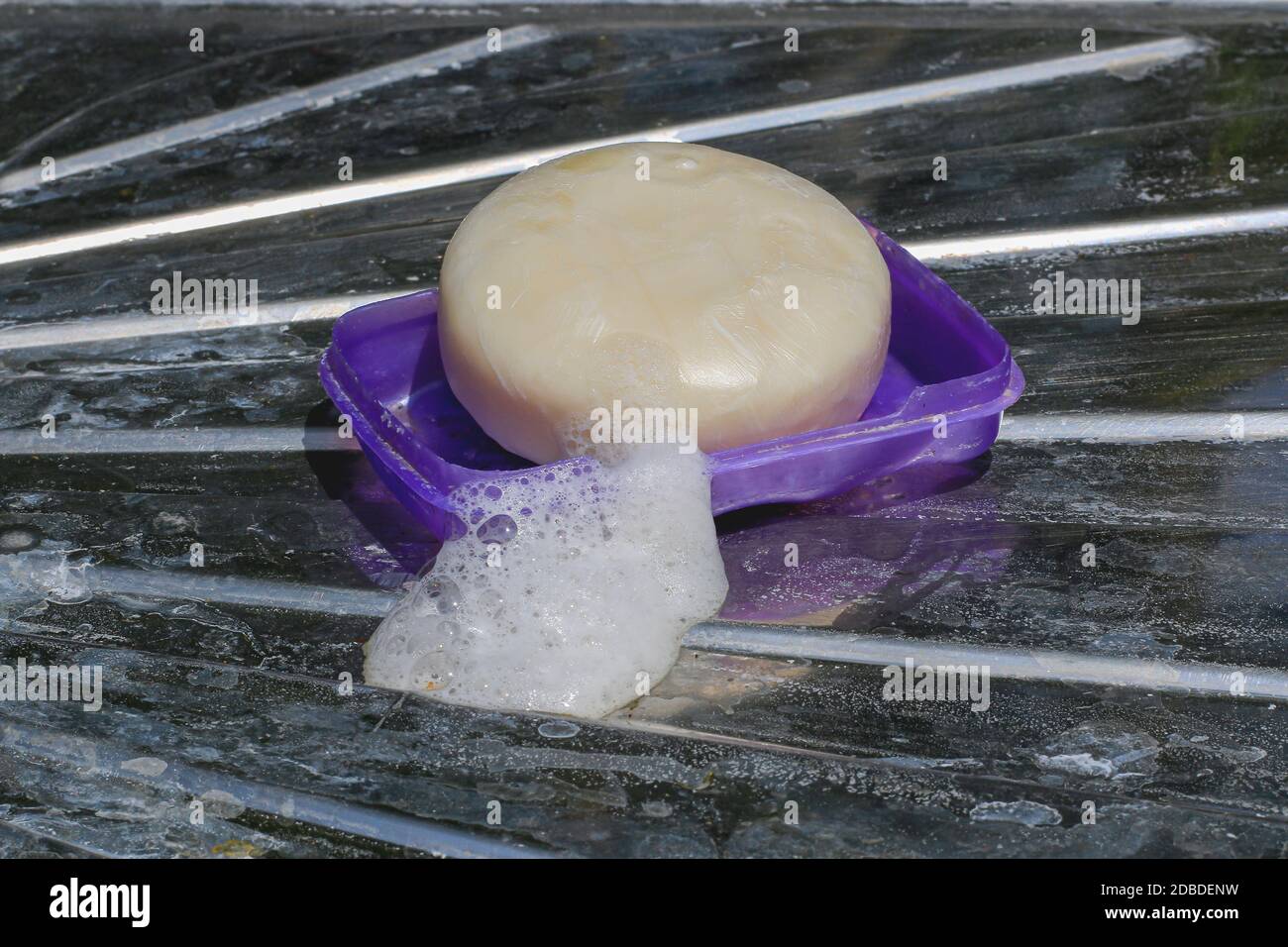 Bacterial layers hi-res stock photography and images - Alamy